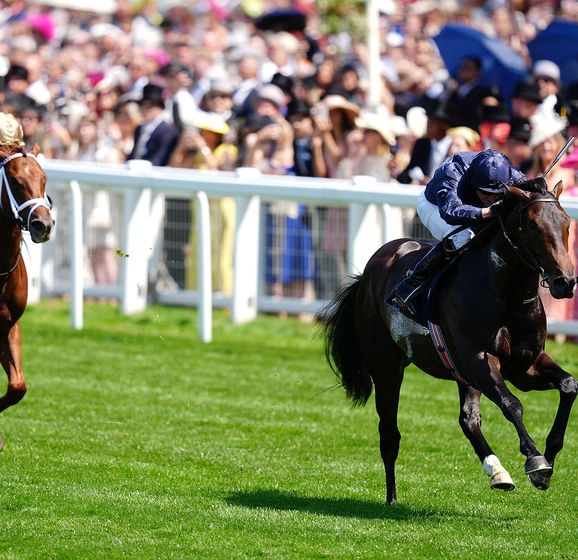Ryan Moore reflects on Royal Ascot | Charles Darwin, Illinois and Henri ...