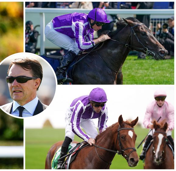Aidan O'Brien unlikely to supplement Albert Einstein and Gstaad back ...