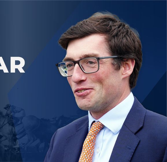 Dan Briden Two-Year-Old Guide: Harry Eustace