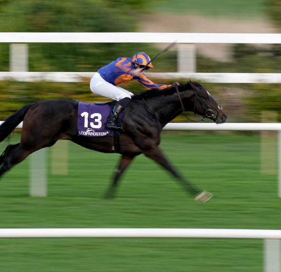 Timeform race report of Criterium International