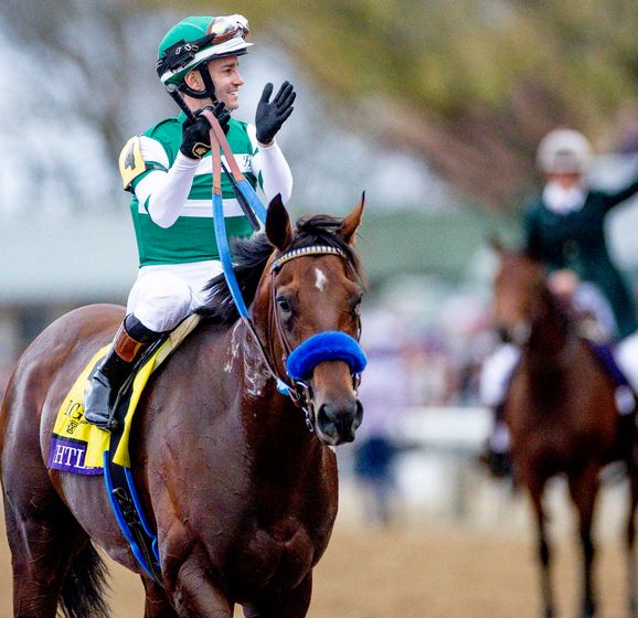 World’s best racehorse Flightline equals rating of Frankel