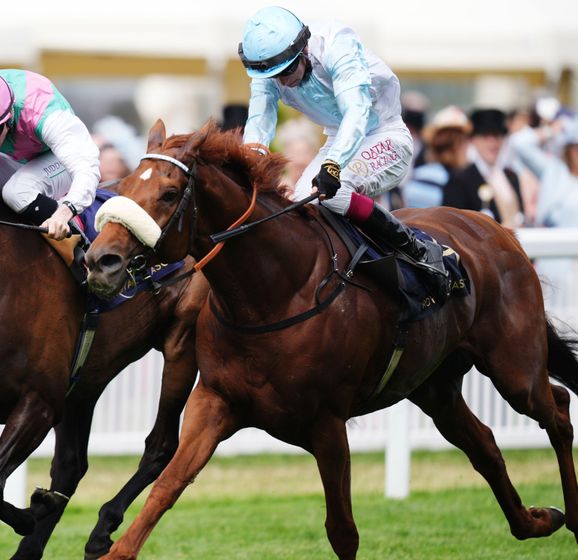 Giavellotto won the Hardwicke Stakes at Royal Ascot | report, reaction ...