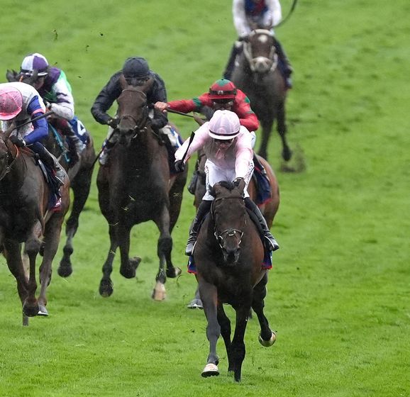 Benvuneto Cellini declared non-runner after finishing in the Betfred Derby