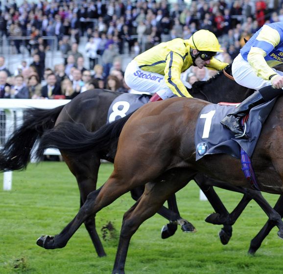 Dan Briden Two-Year-Old Guide: Jack Channon & James Horton