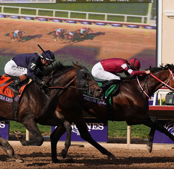 Strong overseas entry for Royal Ascot including Forever Young
