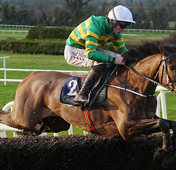 Oscars Brother possibly heading for top table after Ten Up Novice Chase ...