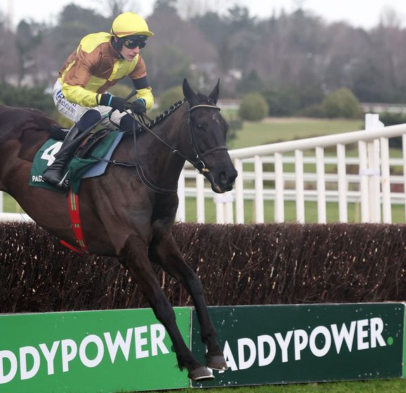 Dublin Racing Festival latest racecards and betting for Leopardstown ...