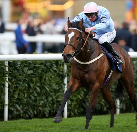 Pam Sly targeting Dahlia Stakes with Astral Beau