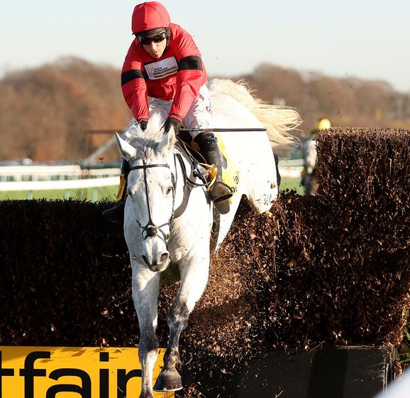 Grey Dawning among key weekend entries at Kelso