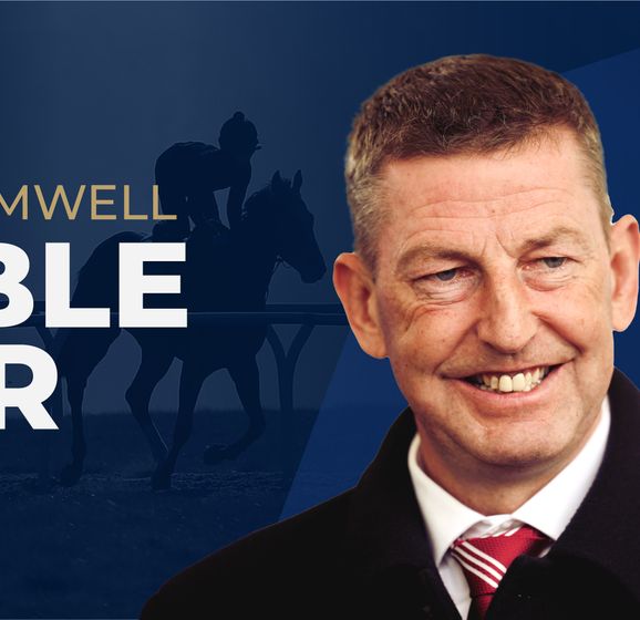 Gavin Cromwell Stable Tour: 2024/25 Jumps Season Preview