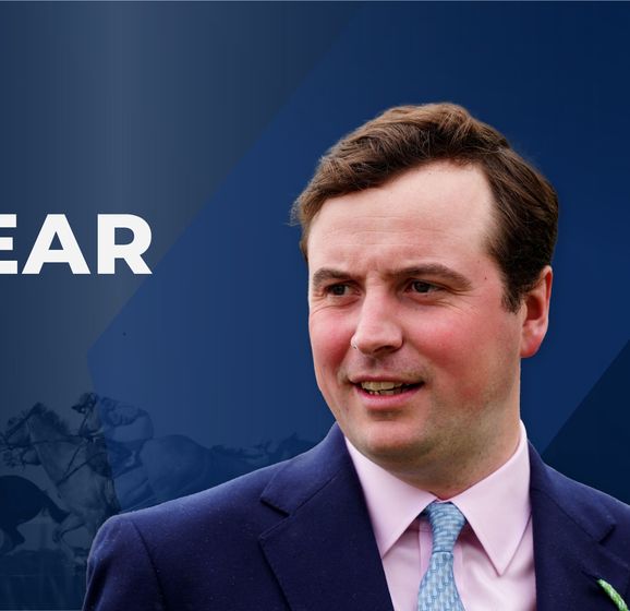 Dan Briden Two-Year-Old Guide: Ed Bethell