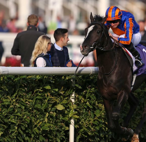 Betfred Derby preview: David Ord on the challenge facing Auguste Rodin