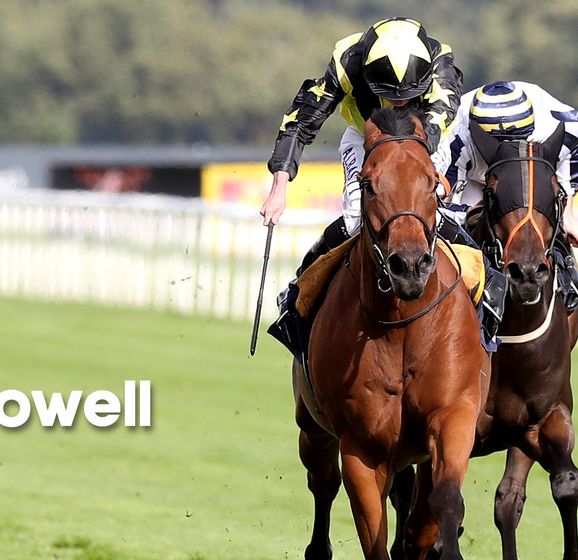 Robert Cowell Stable Tour: Guide to his team for 2020