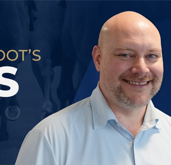 Ben Linfoot free horse racing tips for ITV Qatar Goodwood Festival Day ...