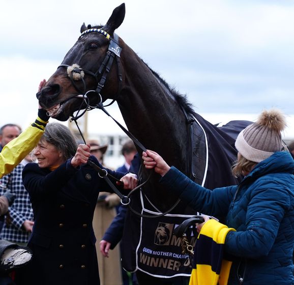 Marine Nationale ruled out of Fortria Chase at Navan