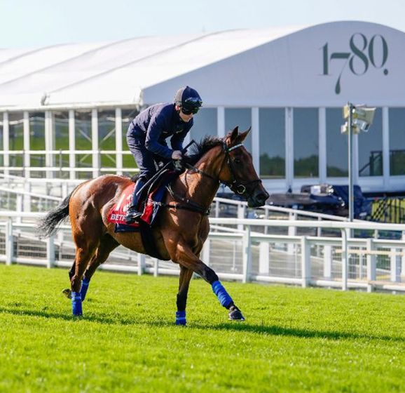 Betfred Derby Festival gallops morning | John Gosden hopeful for Oaks ...