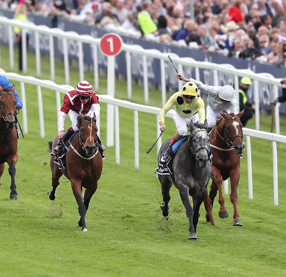 Oli Bell speaks to Hurworth Bloodstock's Sam Haggas ahead of Coronation ...