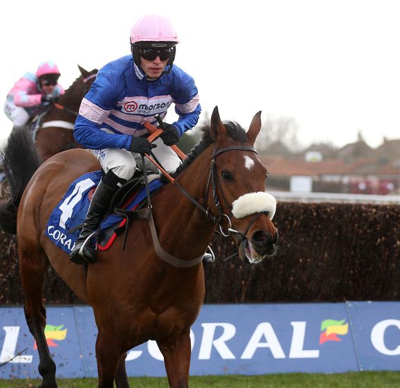 Harry Cobden: Solo so good for Haldon Gold Cup