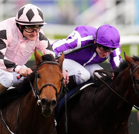 William Hill Futurity report and replay: Hotazhell edges thriller