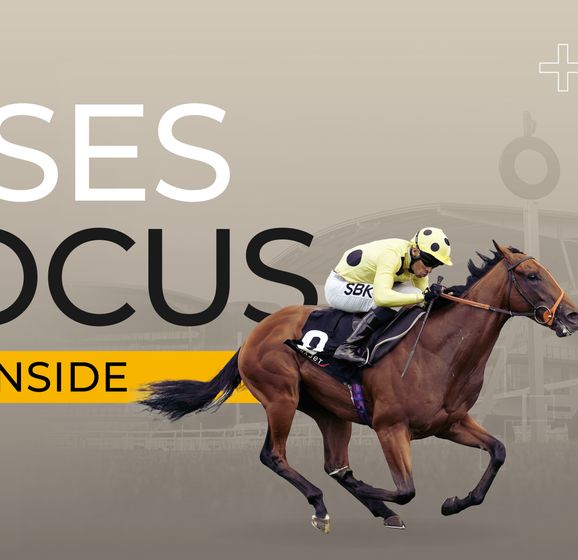 Horse In Focus tips for Thursday: Eye-catchers chosen by Timeform experts
