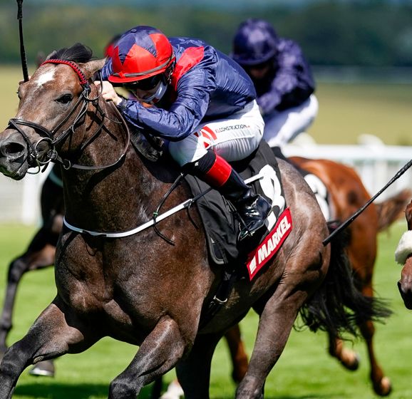 Steel Bull to be supplemented for Phoenix Stakes