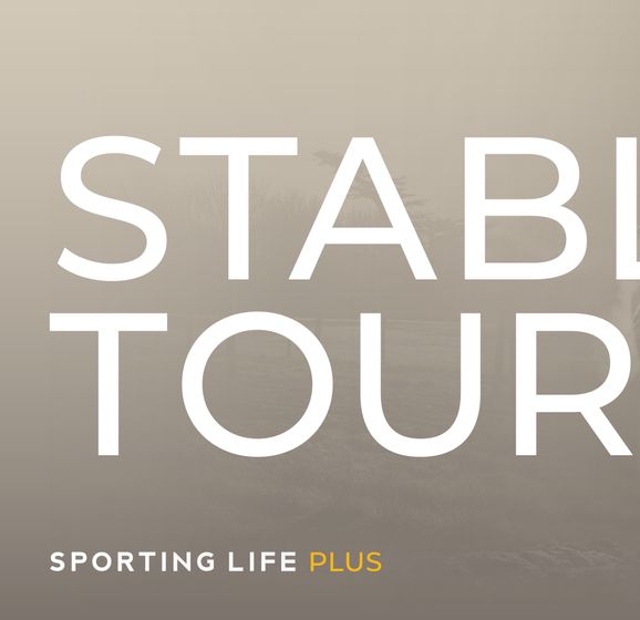 Cheltenham Festival 2026: Stable Tours including Willie Mullins, Gordon ...