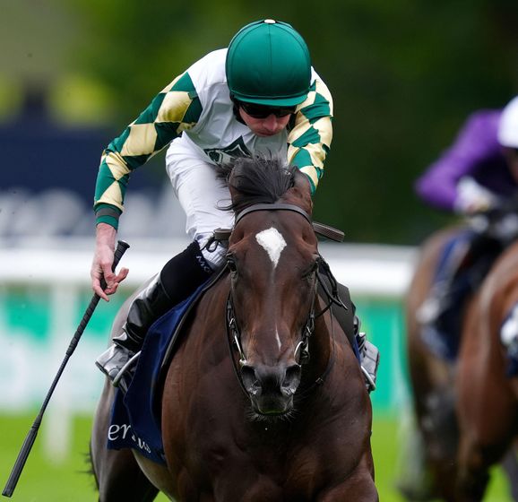 Porta Fortuna to race on in 2025