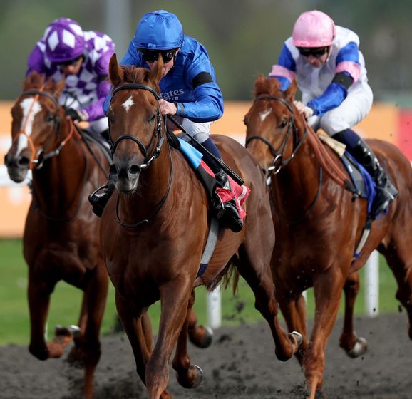 Kempton winner Opera Ballo 8/1 with Paddy Power for 2000 Guineas at ...