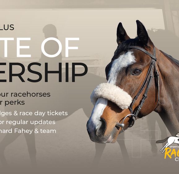 John & Thady Stable Tour: Guide to their 2025 team