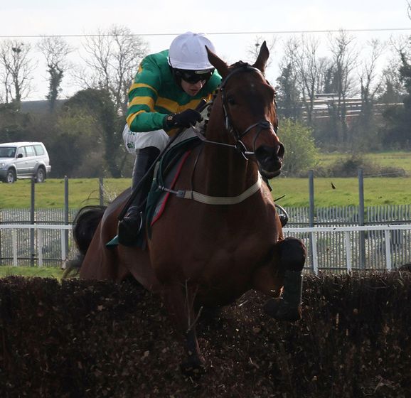 Jimmy Mangan pleased despite defeat for Spillane’s Tower.