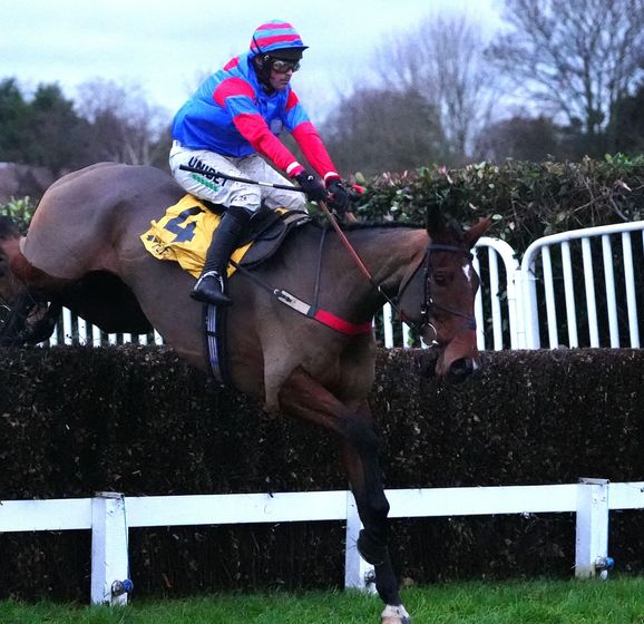 Sky Bet Peter Marsh Chase: Mr Vango outstays rivals