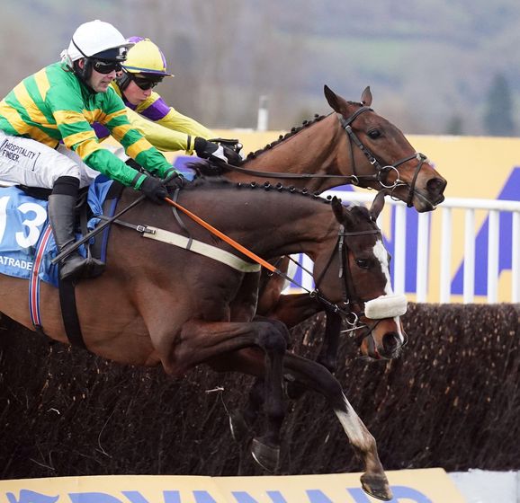 Jagwar on the rise, Winston Junior a Fred Winter candidate and Sans ...