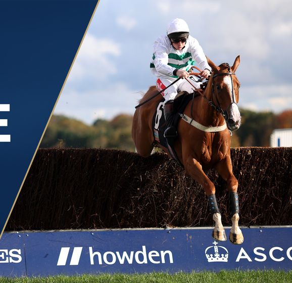 Paddy Power Gold Cup tips: Best antepost value bets for Cheltenham ...