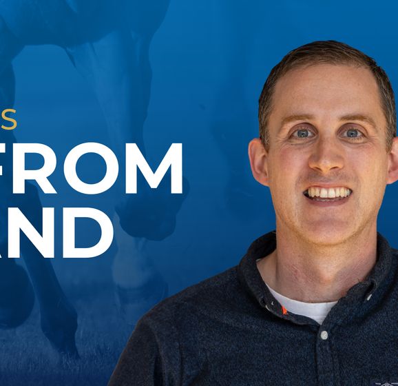 Irish racing tips: Tony Keenan best bets for Boxing Day