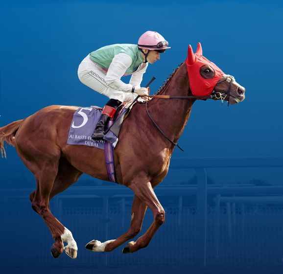 Timeform Daily View | Friday preview and tips