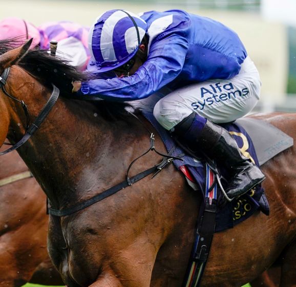 Nazeef targeting Group One graduation in the Tattersalls Falmouth ...