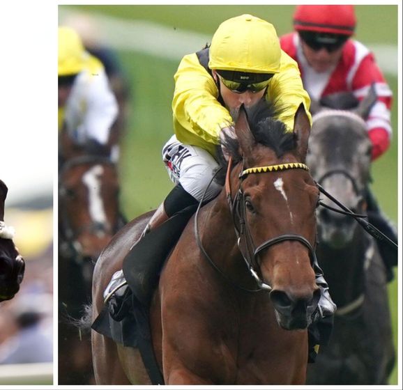 Saturday horse racing analysis: Horses to follow – five interesting ...