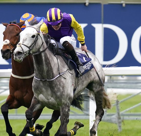 Cheltenham Festival news: Tom Mullins favouring Mares’ assignment for ...