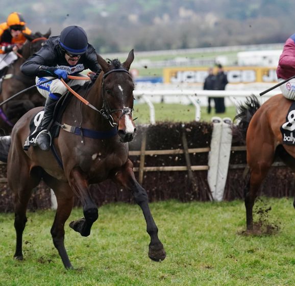 Joe Tizzard on Cheltenham Festival and leading contenders in 2025