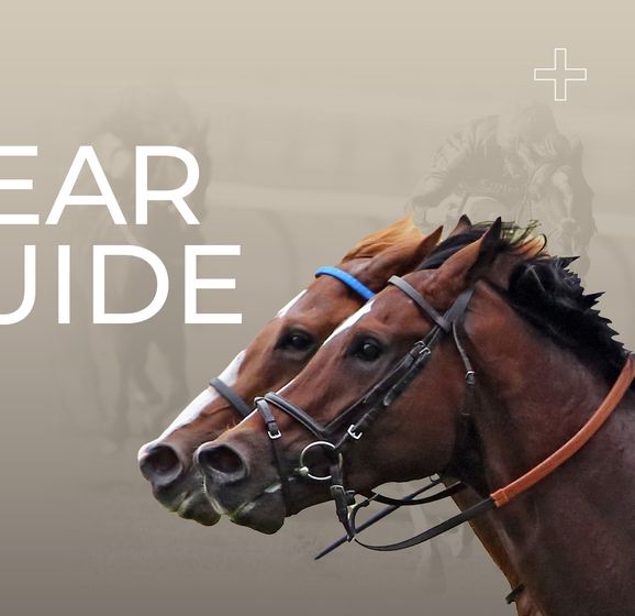 Dan Briden Two-Year-Old Guide 2026: Download now