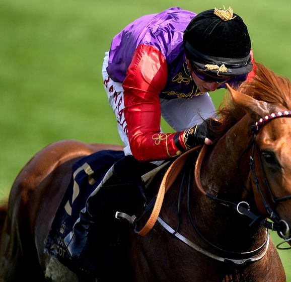 Royal winner for the King and Queen at Royal Ascot thanks to Desert Hero
