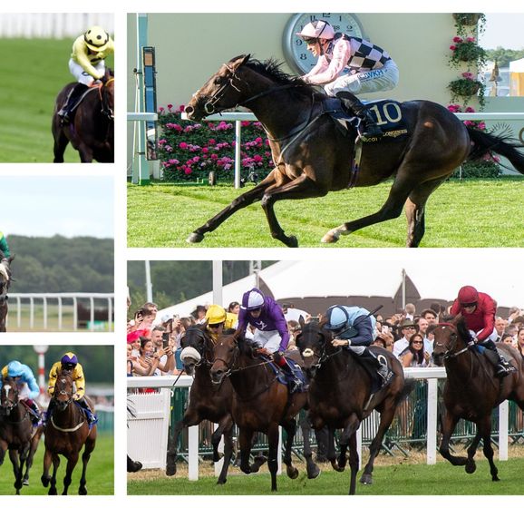 Five things to note this Saturday from Al Riffa going up in distance to ...