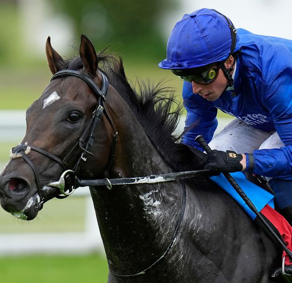 Godolphin's 2,300,000 euros breeze-up buy Ruling Court makes perfect ...