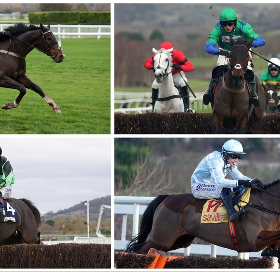 Racing Podcast: Horses to watch this weekend