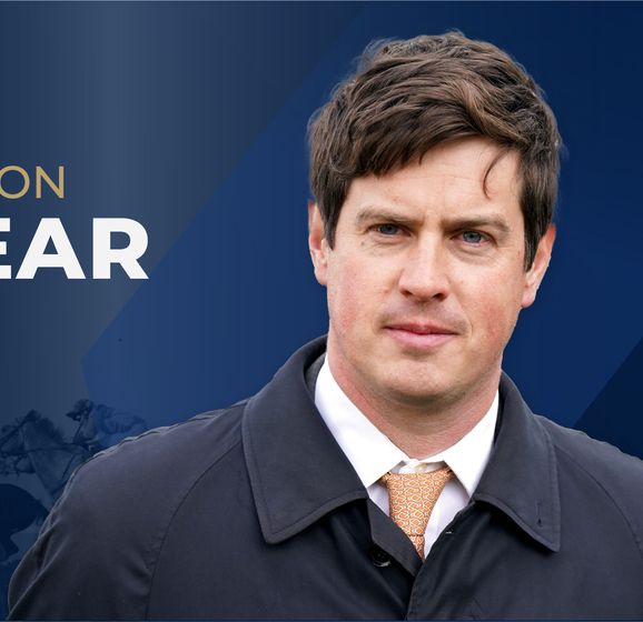 Dan Briden Two-Year-Old Guide: Harry Charlton