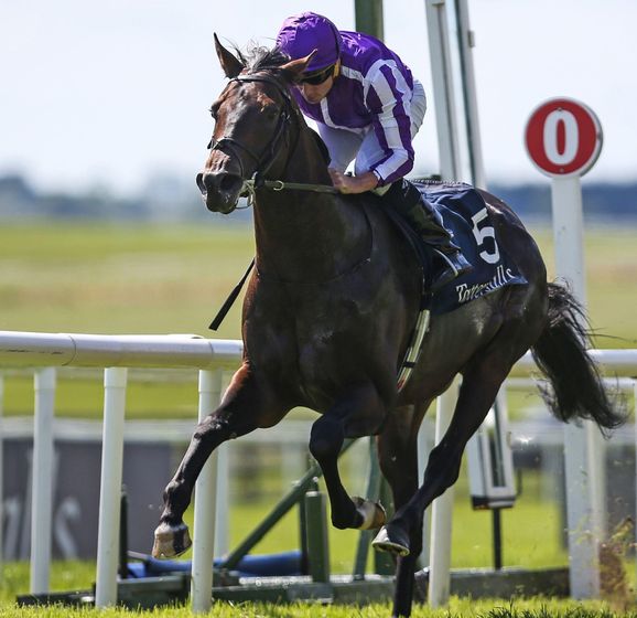 Big-race preview: In-depth guide to the St James's Palace from Timeform ...