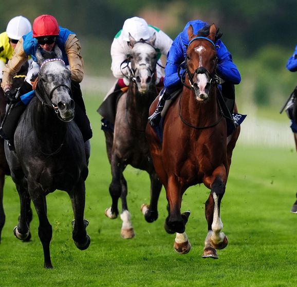 Brigadier Gerard Stakes Report | Ombudsman battles to success