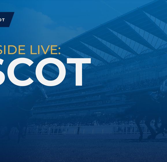 Trackside Live from Royal Ascot: parade ring updates and selections