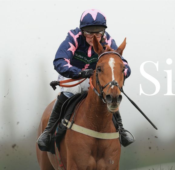 Free racing tips: Simon Holt previews Saturday's action from Warwick