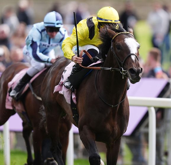Royal Ascot preview: Rahiebb leads Roger Varian team